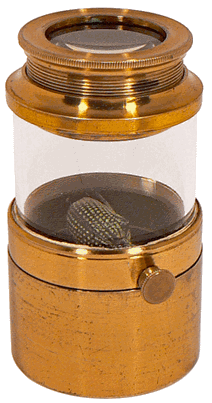 Le Compendium - Insectoscope - Microscope simple - Microscope d ...