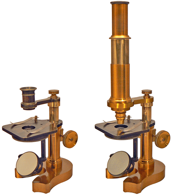 Le Compendium - Microscope de dissection et d'observation - Microscope ...