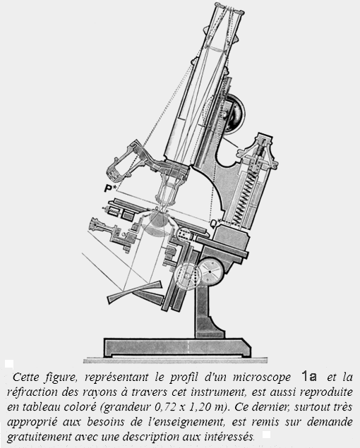 Le Compendium - Microscope Leitz Wetzlar stativ 1a - Ernst Leitz - le ...
