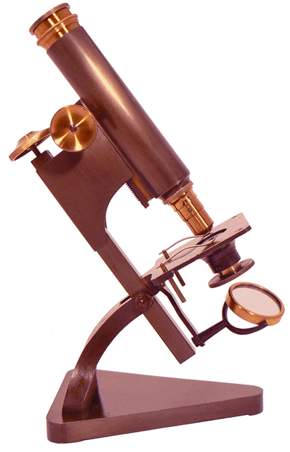 Le Compendium - Beck star microscope nouveau modèle - Beck's new model ...